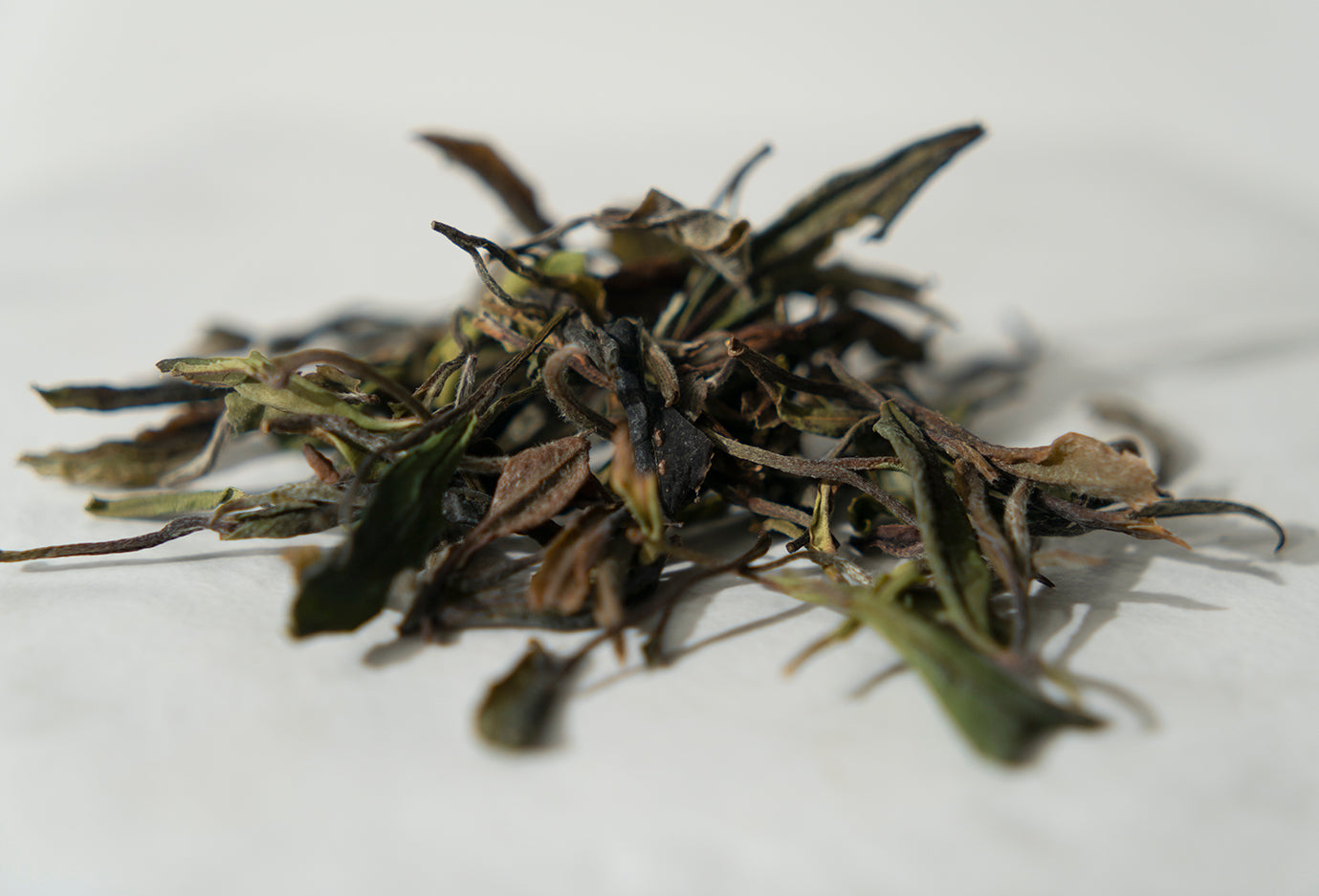 Wild White – Black Cloud Tea